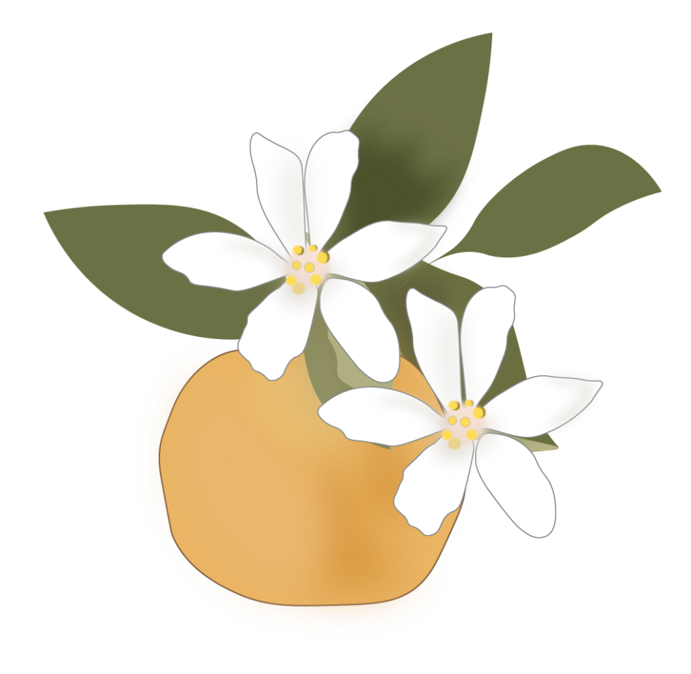 The Meaning of AZAHAR & History | AZAHAR Foundation